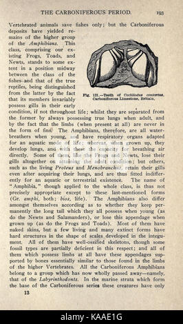 The ancient life history of the earth (Page 328, Fig. 249) BHL13762818 ...