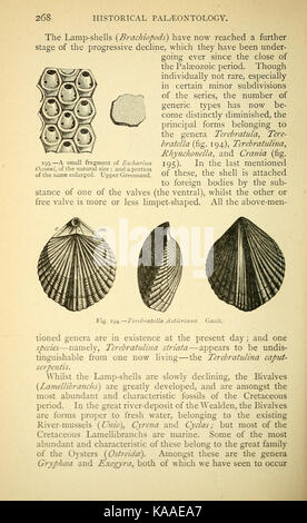 The ancient life history of the earth (Page 328, Fig. 249) BHL13762818 ...