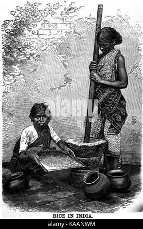 This agricultural study provides insight into the cultivation of corn ...
