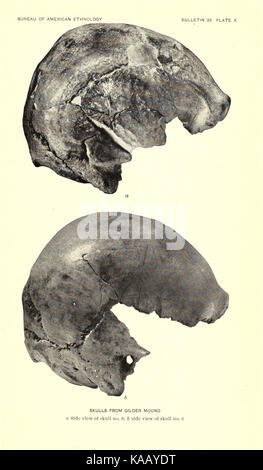 Skeletal remains suggesting or attributed to early man in North America ...