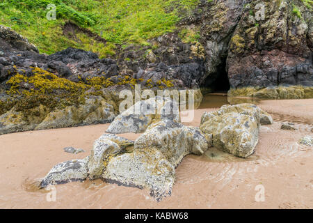 St. Cyrus beach Stock Photo - Alamy