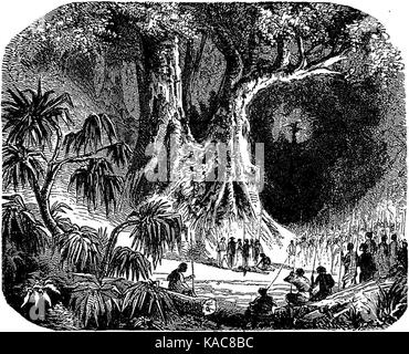 Tangena trial by ordeal Madagascar Stock Photo - Alamy
