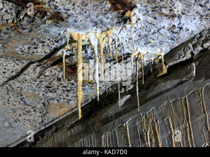 Salt and limes leaching from concrete forms stalactites in basement of ...