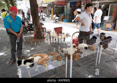 People selling pet puppies at on a stall at Chatuchak Weekend Market in ...