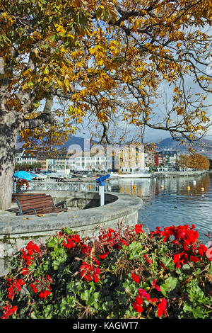 Flowers in embankment of town of Vevey and Lake Geneva, canton of Vaud ...