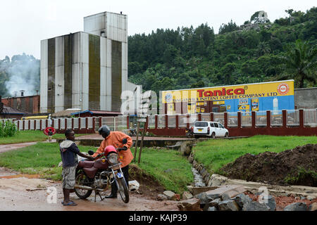 Bukoba the Tanica instant coffee factory which is owned by the KCU ...