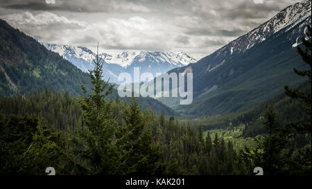 View from Leckie Creek Valley towards one of the peaks of the Eldorado ...
