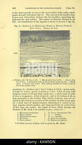 This illustration from 'The Quarterly Journal of the Geological Society ...