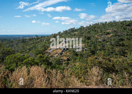 Spectacular forest landscape in John Forrest National Park near Perth ...