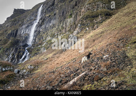 Waterfall on the path to the Carsaig Arches, Isle of Mull, Scotland, UK ...