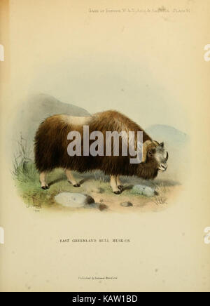 The great and small game of Europe, western and northern Asia and ...