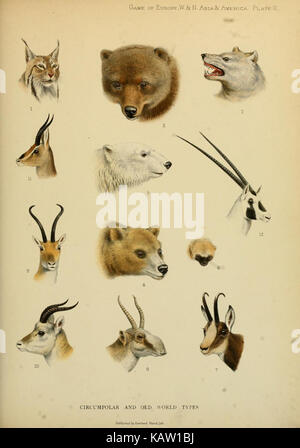 The great and small game of Europe, western and northern Asia and ...