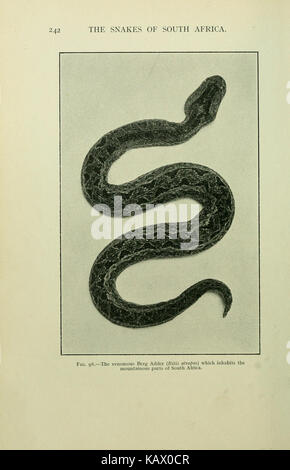 Image from page 8 of 'South Africa. A study in colonial administration ...