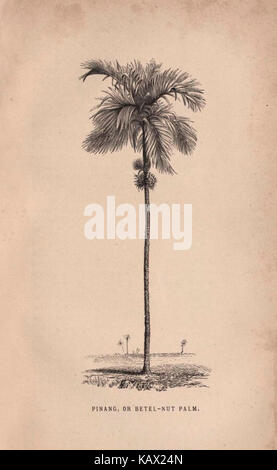 'Travels in the East Indian Archipelago' is a travelogue documenting ...