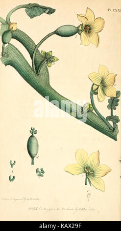 This work by Carl von Linné (1707-1778) covers his contributions to ...