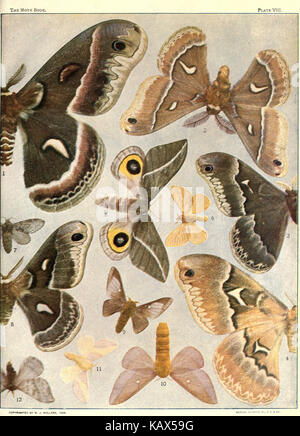 The moth book Stock Photo - Alamy