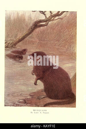 This illustration from 'The Wild Beasts of the World' depicts various ...