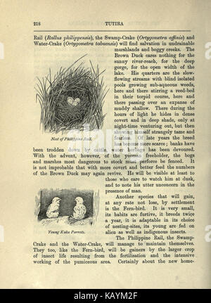 Tutira is a historical book that explores the Māori people and their ...