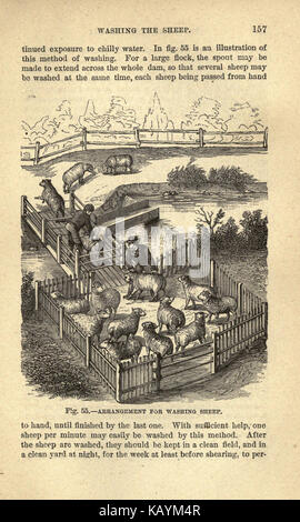 The shepherd's manual (Page 157 Stock Photo - Alamy