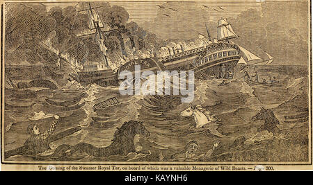 Wreck of the Royal Tar Stock Photo - Alamy