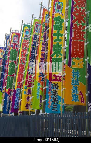 sumo wrestling in Tokyo Stock Photo - Alamy