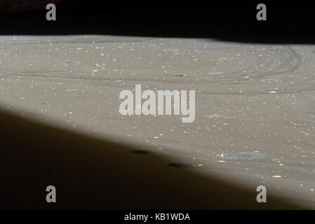 Scum on the top of a stagnant pool in a side canyon of the Escalante ...
