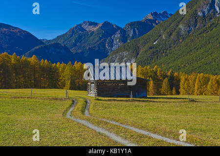 Austria, Tyrol, Mieminger plateau, Obsteig, larch meadows Stock Photo ...