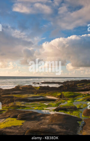The warmth of evening sunbreaks on the basalt shoreline of Oregon’s ...