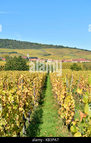 France, Haut Rhin, Rodern village Stock Photo - Alamy