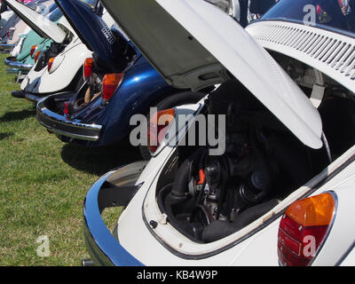 A row of VW beetles with their boots open displaying their engines ...