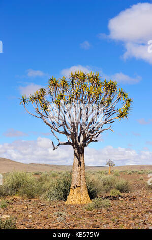 Namibia, Karas, near Fish River Canyon Stock Photo - Alamy