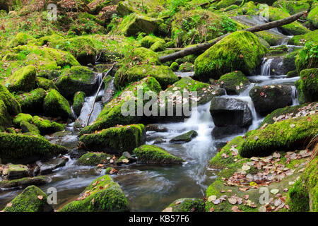 Idyllic stream course Stock Photo - Alamy