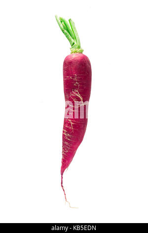 fresh pink radish on a white background Stock Photo - Alamy
