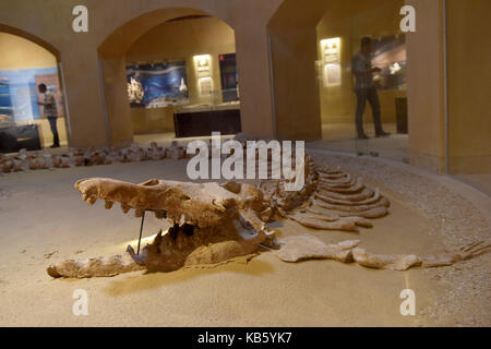 Cairo, Egypt. 27th Sep, 2017. Whale fossils are seen in the natural ...