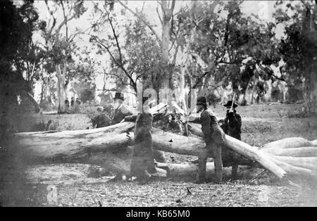 NED KELLY (1854-1880) Australian bushranger makes his last stand at ...
