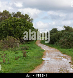 Footpath leading through Turbary Common local nature reserve on an ...