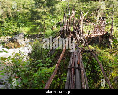 Wooden prehistoric bridge in the Baliem Valley, Papua, Indonesia Stock ...