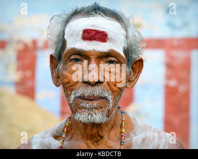 Indian Shaivite brahmin (Hindu priest who worships Shiva) with ...