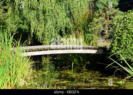 Wooden bridge over garden pond, England UK Stock Photo - Alamy