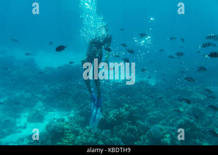 The man floats under water on coral reefs Stock Photo - Alamy