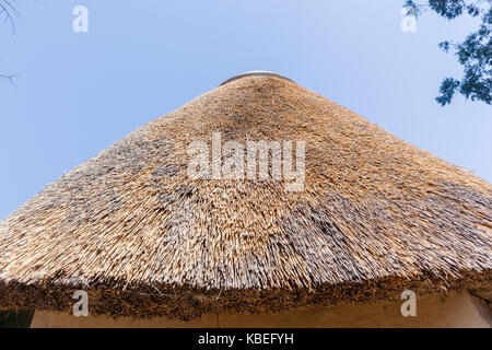 African style thatch grass roofs round bungalow buildings holiday camps ...