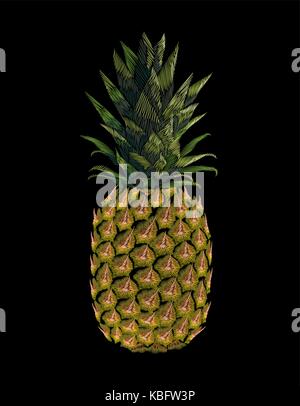 patch of fresh pineapple fruit vector illustration design Stock Vector ...