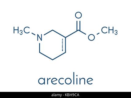Arecoline areca nut stimulant compound, chemical structure. Skeletal ...