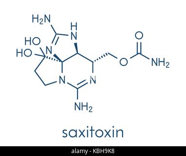 Saxitoxin (STX) paralytic shellﬁsh toxin (PST), chemical structure ...
