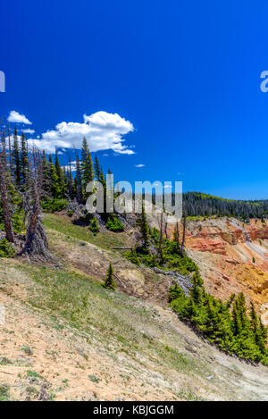The red cliffs and green trees of the Dixie National Forest of Utah ...