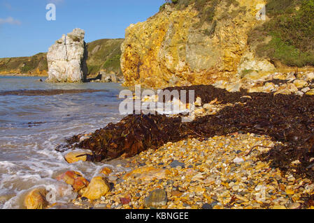 Porth Padrig, Cemaes Bay, Anglesey Stock Photo - Alamy