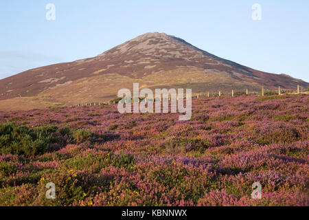 Yr Eifl Mountains near Llithfaen, Pwllheli, Llyn Peninsula, Wales; UK ...