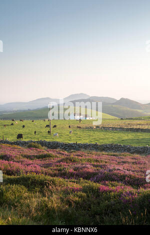 Mountains near Llithfaen; Pwllheli; Llyn Peninsula; Wales; UK Stock ...