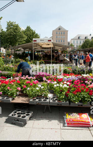 Kouter flower market in Ghent, Belgium, Europe Stock Photo - Alamy