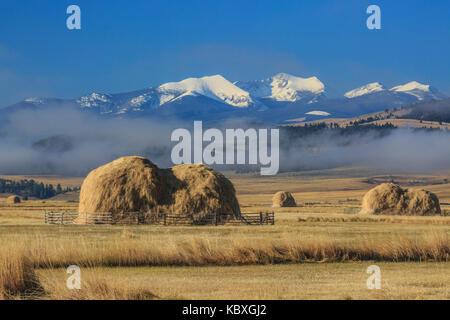 haystacks and morning fog below peaks of the flint creek range near ...